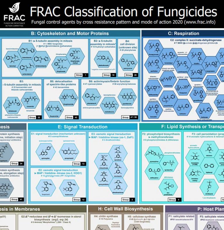 Publicaciones – FRAC Argentina